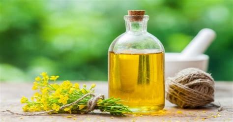 Vegetable Oil Fuel Assignment Point