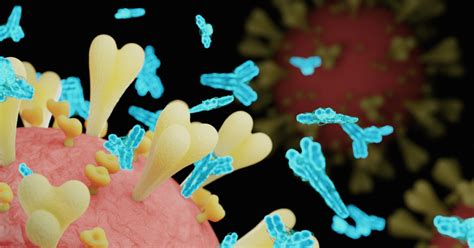 Understanding The Role Of An Antibody Expert Uss Pollack Submarine