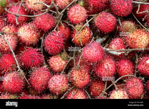 Fruits That Look Like Lychee