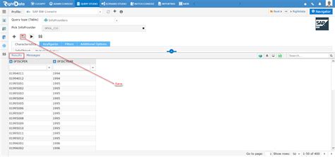 Querying Sap Bw Infoprovider Rightdata
