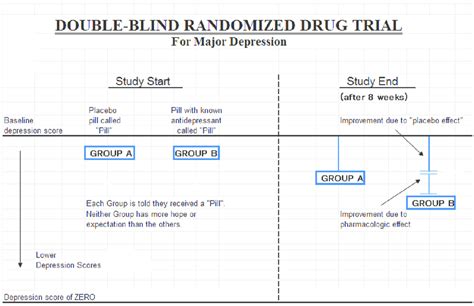 Double Blind Randomized Drug Trial Download Scientific Diagram