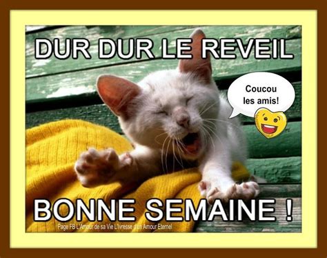 Dur dur le réveil Bonne Semaine Coucou les amis Bonne semaine