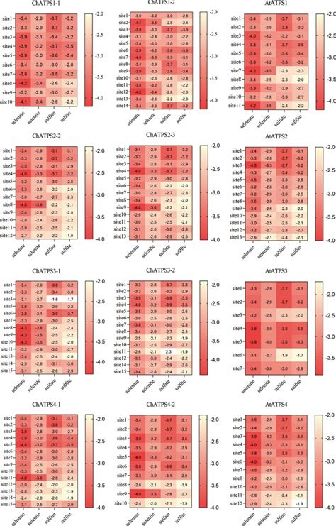 The Binding Energy Of Compounds With All The Ligand Binding Sites Of