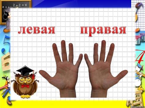 Счет предметов Верх низ лево право презентация онлайн