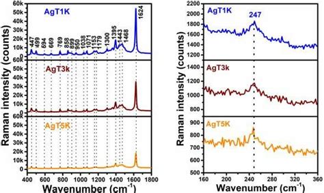 Sers Spectra Of Mb 10 5 M On Agt1k Agt3k And Agnps T5k A 400 To