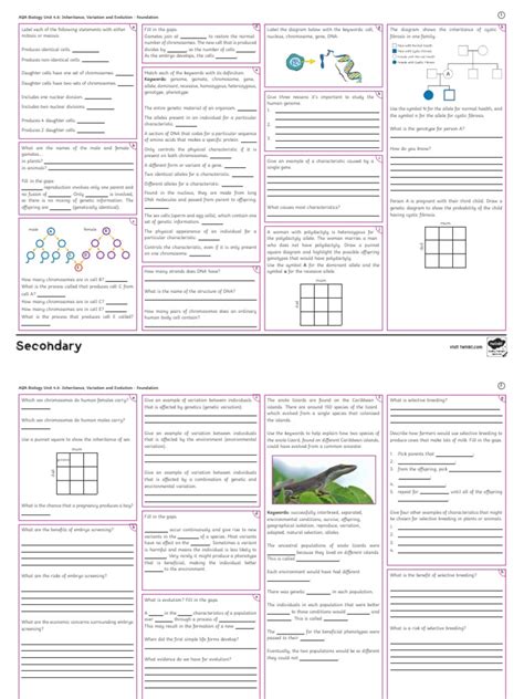 06 Inheritance And Evolution Foundation Revision Activity Mat Pdf