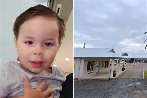 Un Enfant De 2 Ans Meurt Mordu Au Cou Et Au Visage Par 2 Chiens Devant