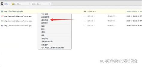 Webshell管理工具（菜刀、蚁剑、冰蝎、weevely） 知乎