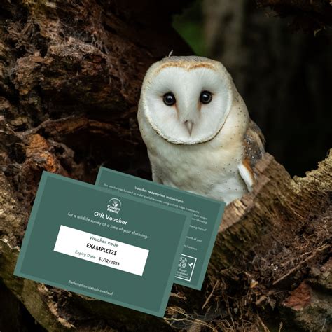 Bioacoustic Technology Biodiversity Monitoring Made Easy