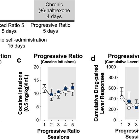 Effects Of Continuous Tlr4 Antagonism On The Motivation To Acquire