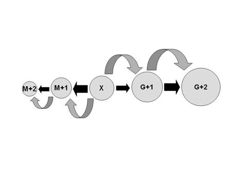 Resource Allocation Strategies Under Varying Levels Of Resource Download Scientific Diagram