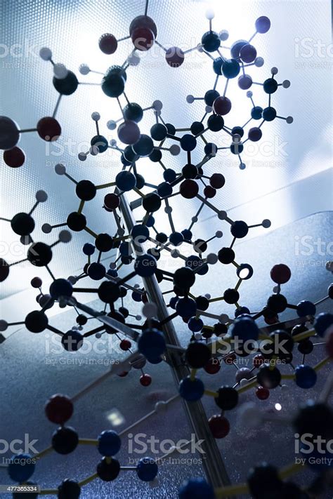 Ciencia Modelo De Estructura De Molécula De Adn Concepto De Trabajo En