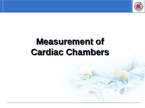 Transthoracic Echocardiography Standard Imaging Of A