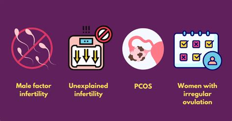 Understanding Ovulation Induction A Comprehensive Guide