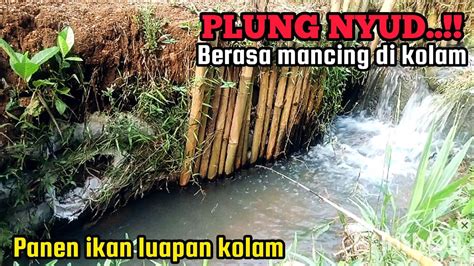 PESTA STRAIKE KOLAM TETANGGA MELUAP SEHABIS HUJAN BESAR MANCING