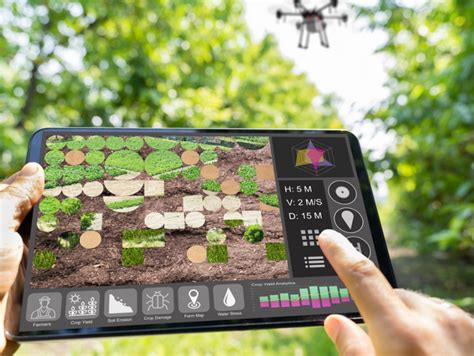 Innovations In Farm Biosecurity Safeguarding Agriculture For A