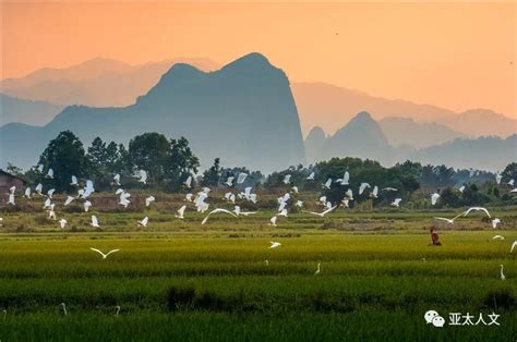 Asia European Youth Nature Exploration Activity On Twitter Australian