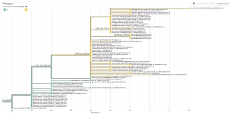 Potential Ba2ba5 Recombinant 53 Sequences As Of 2022 08 05 · Issue 911 · Cov Lineages