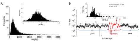 Youngs Modulus Distributions And Median As A Descriptor A Download Scientific Diagram