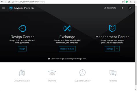 two different ways of deploying mulesoft application iwconnect