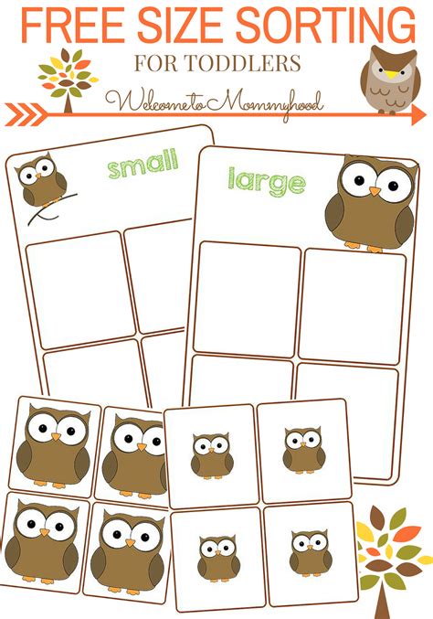 Printable Sorting By Size Worksheet
