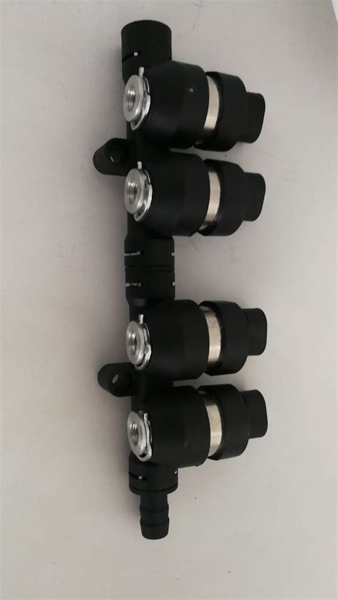 2 Ohm 4 Cilinder Cng Lpg Injector Rail Gas Injecto Vicedeal