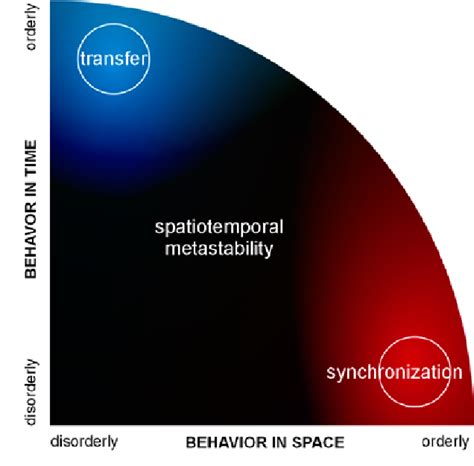 A Conceptual View Of The Spatial And Temporal Order In The Behavior Of