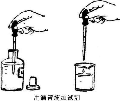 立即 将 滴管 插 回到 滴 瓶 中 不 可 平 放 在 桌 上 以免 腐蚀 胶 头 滴管