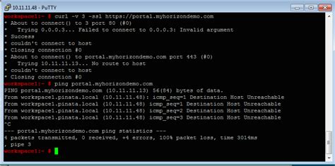 Troubleshooting Omnissa Access FQDN Updates Omnissa