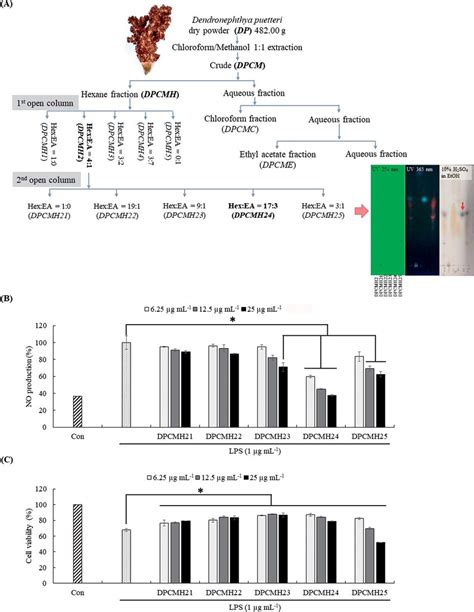 Schematic Outline Of Extraction Bioassay Guided Fractionation And