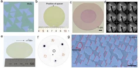 The Wafer Scale Growth Of Mos 2 And Ws 2 By Cvd Method A B 2 Inch