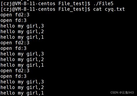 linux——文件基础io的文件描述符和重定向实现理解 linux io输出重定向 csdn博客