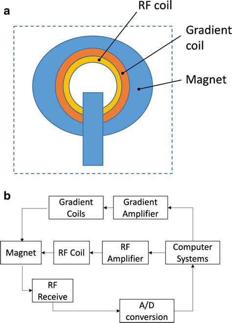 Schematic Diagram Of An Mri System Download Scientifi