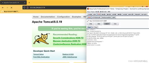 【漏洞复现 tomacat 文件上传】vulfocus tomcat cve 2017 12615 tomcat cve 2017 1265