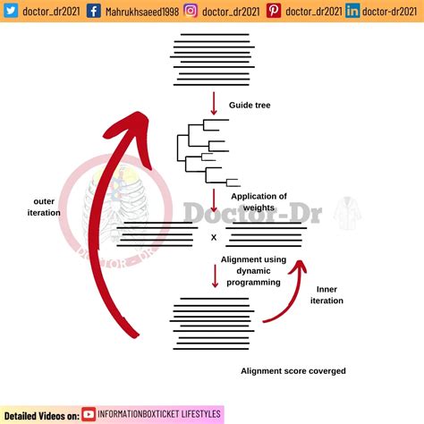 Sequence Alignment Definitions Classification Techniques Applications