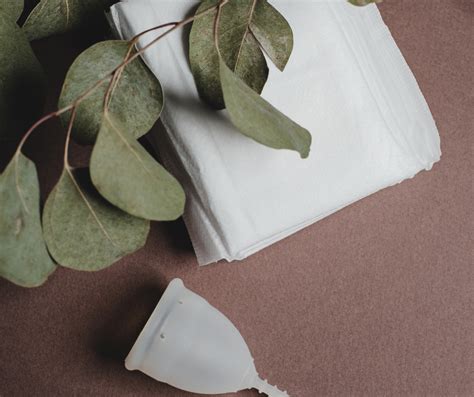Herbs To Support Your Menstrual Cycle Red Moon Herbs
