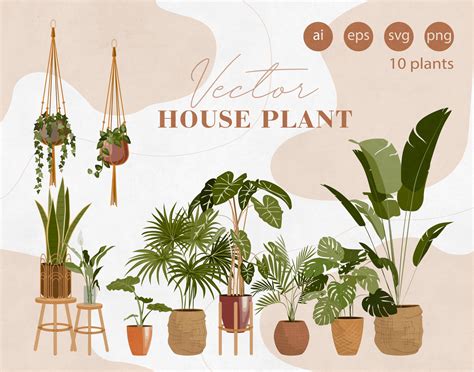 Flat Vector Plant Illustration On Behance