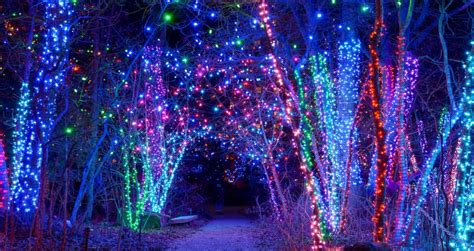 10 Of The Most Stunning Holiday Light Displays In Washington