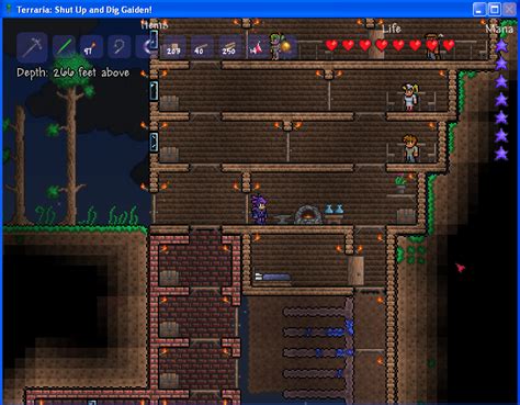 Открытый поток Terraria сохранение мира