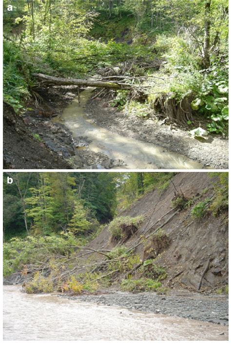 Lw Pieces Recruited By Forest Dynamics And Hillslope Processes A