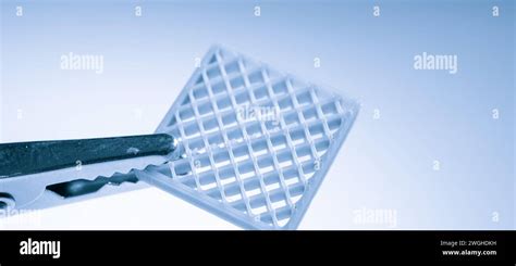 Acoustic Metamaterials These Materials Are Designed To Control Sound Waves Enabling The