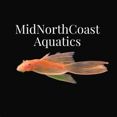 Mid North Coast Aquatics Forster Nsw