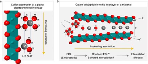 Conceptual Comparison Of Cation Adsorption At A Planar Electrochemical