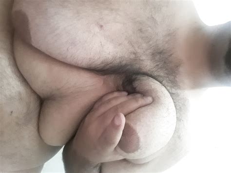 Obese Pig Image 494119 Thisvid Tube