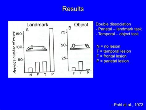 Object Recognition Flashcards Quizlet