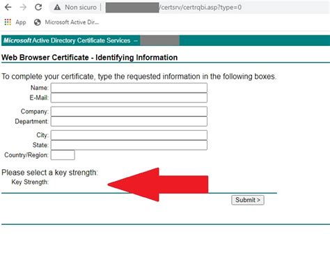 Certification Authority Web Enrollment Installation Incomplete Microsoft Qanda