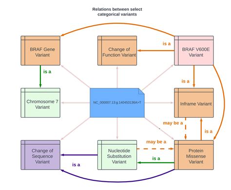 Introduction — Ga4gh Categorical Variation Representation Specification