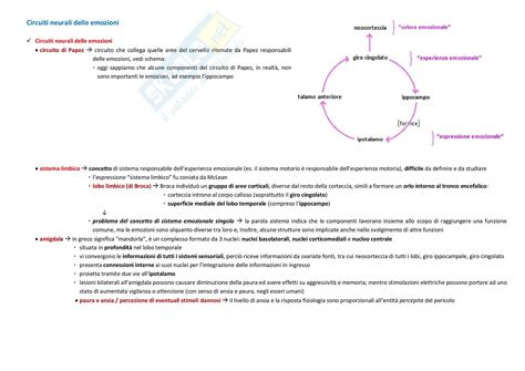 Basi Neurali Della Cognizione Appunti