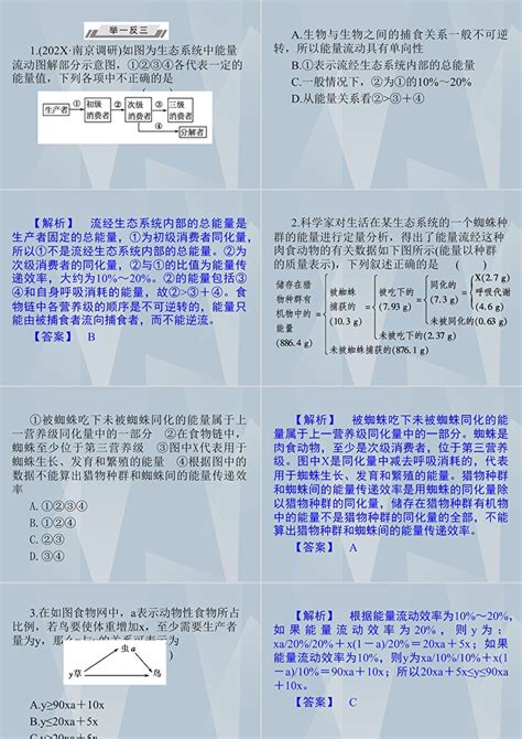 生态系统的能量流动与物质循环ppt模板卡卡办公