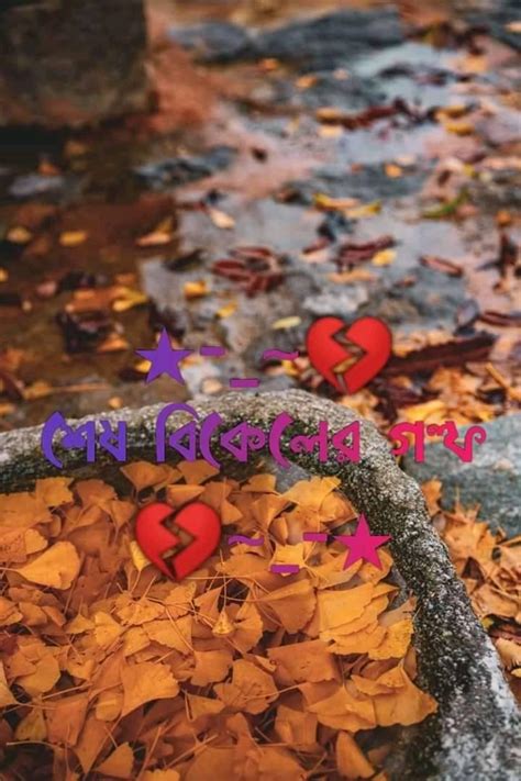 শেষ বিকেলের গল্প Dhaka